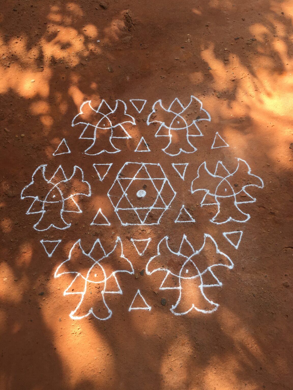 The Magic of Kolams » The Auroville Adventure
